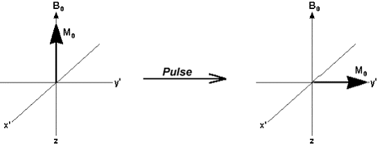 Principles of NMR - NMR Testing Laboratory